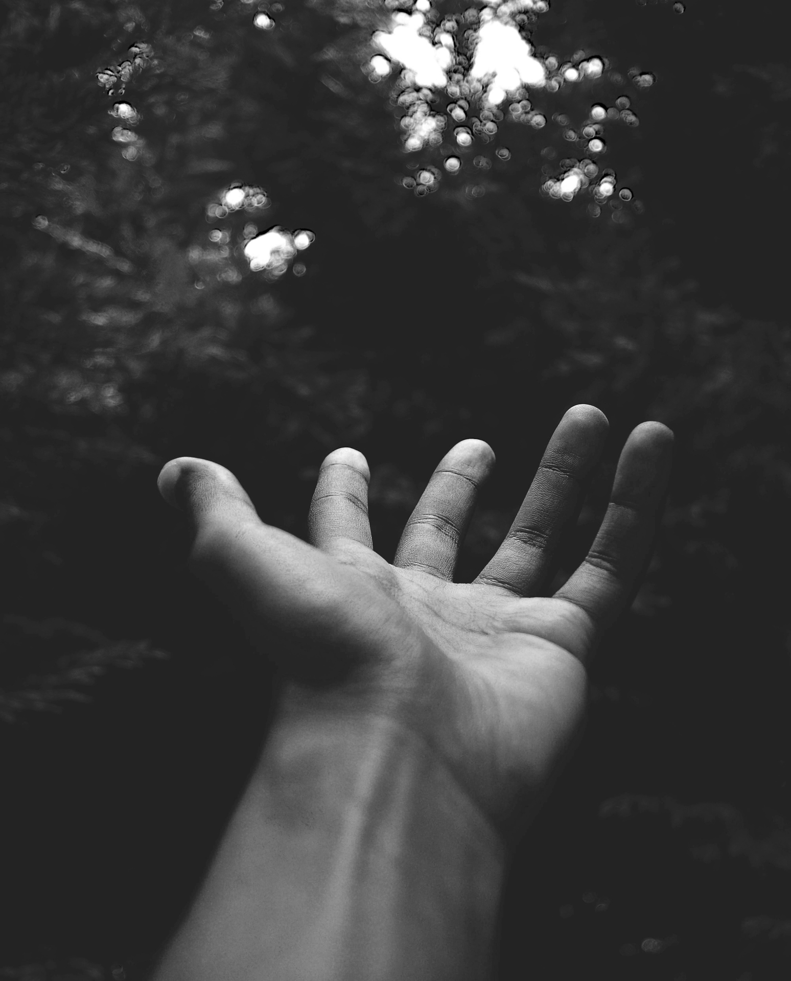 KonTerra Ownership Evolution - The KonTerra Group