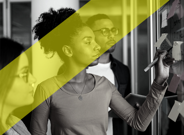 Experience - The KonTerra Group